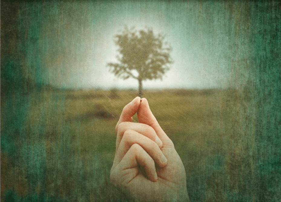 June 13th – XI Sunday in Ordinary Time – Church of the Little Flower