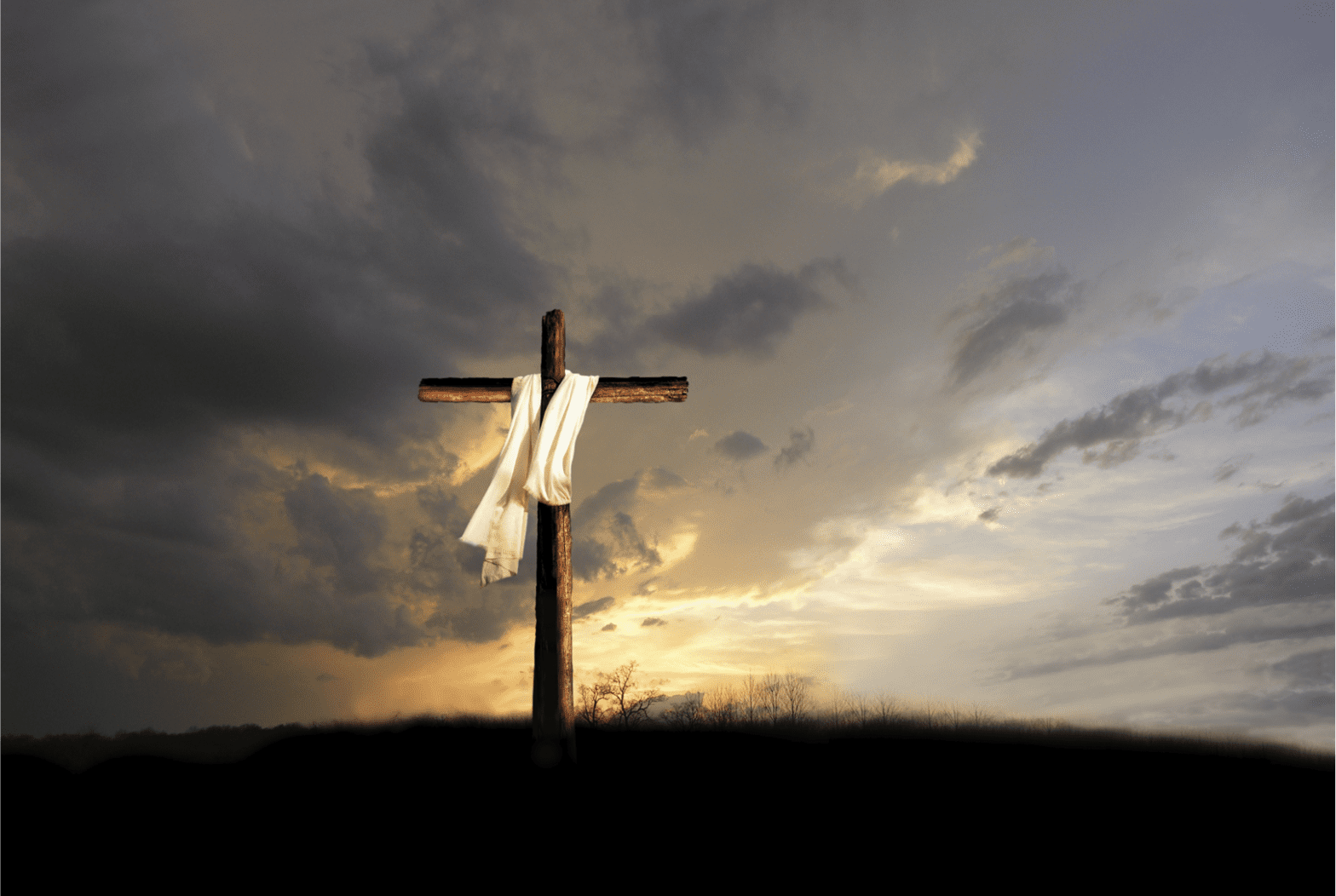 July 2nd – XIII Sunday in Ordinary Time – Church of the Little Flower